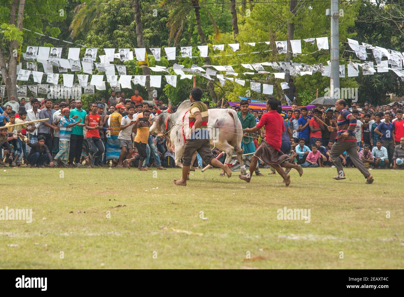 Village game in bangladesh hi-res stock photography and images - Alamy