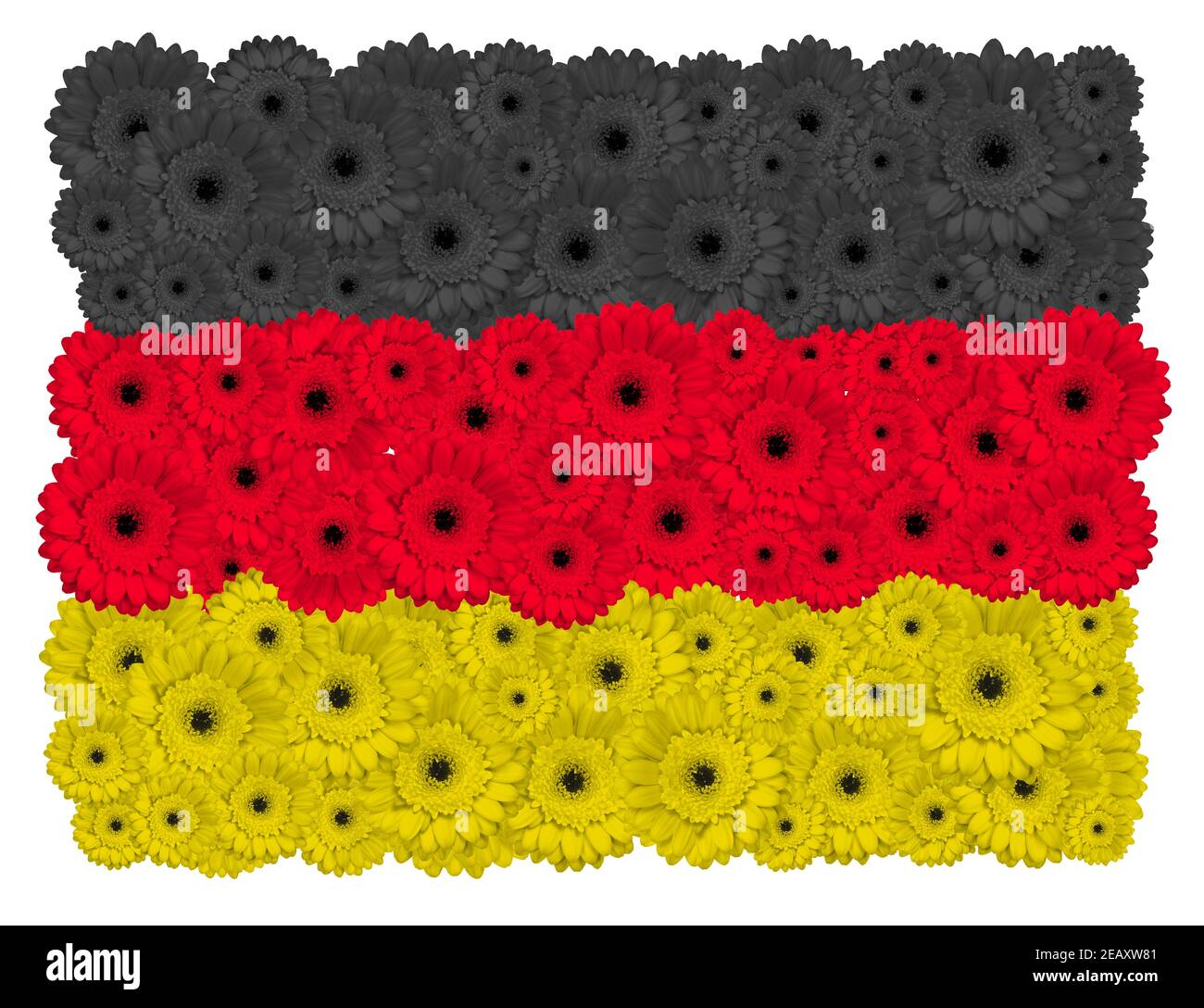 Germanys National Flower