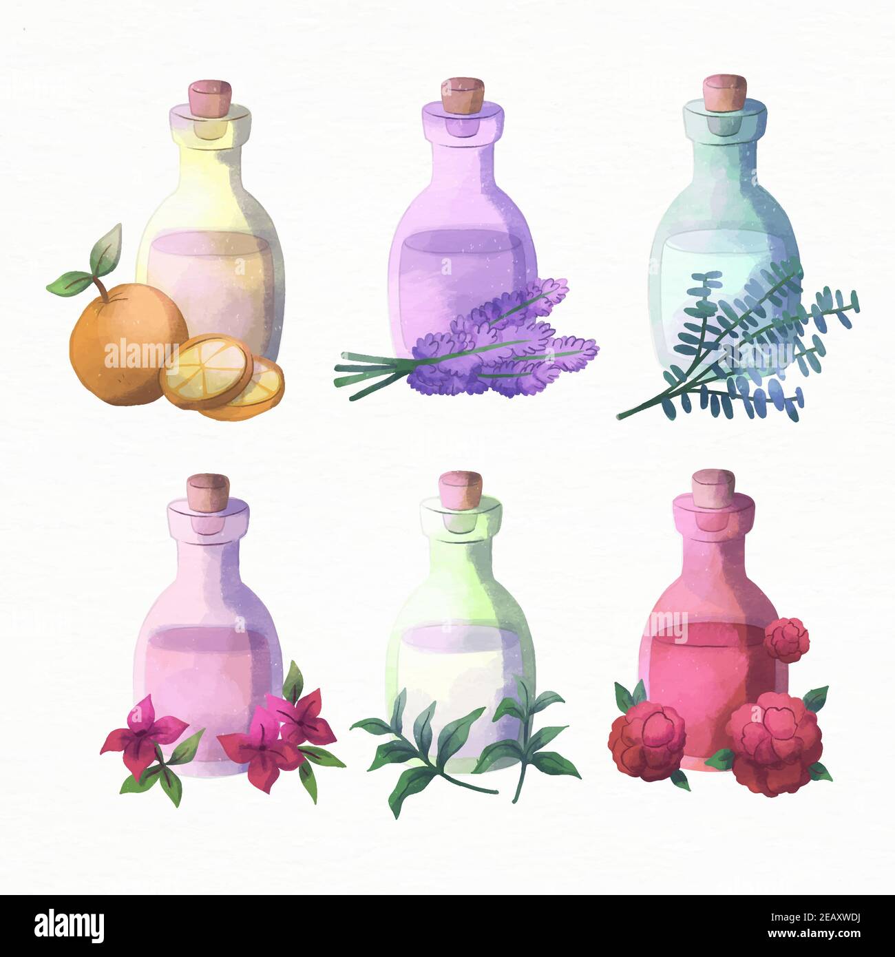 Watercolor essential oil bottle collection Vector illustration Stock ...