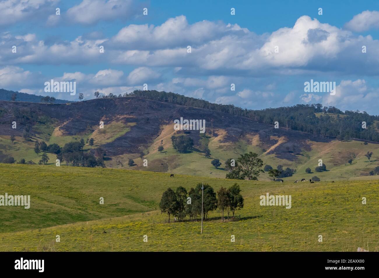 Australia hunter region nsw hi-res stock photography and images - Alamy