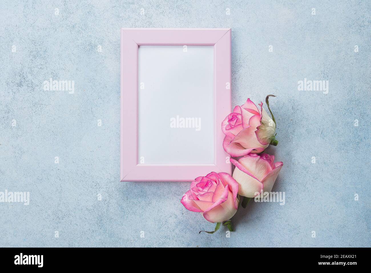 Creative minimalism flat lay with photo frame and pink roses on blue ...