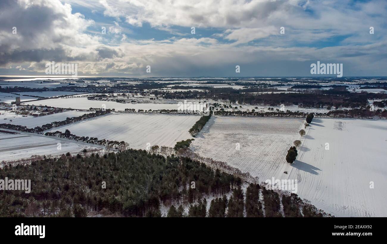 Snow covered woodlands in rural Suffolk, UK Stock Photo - Alamy
