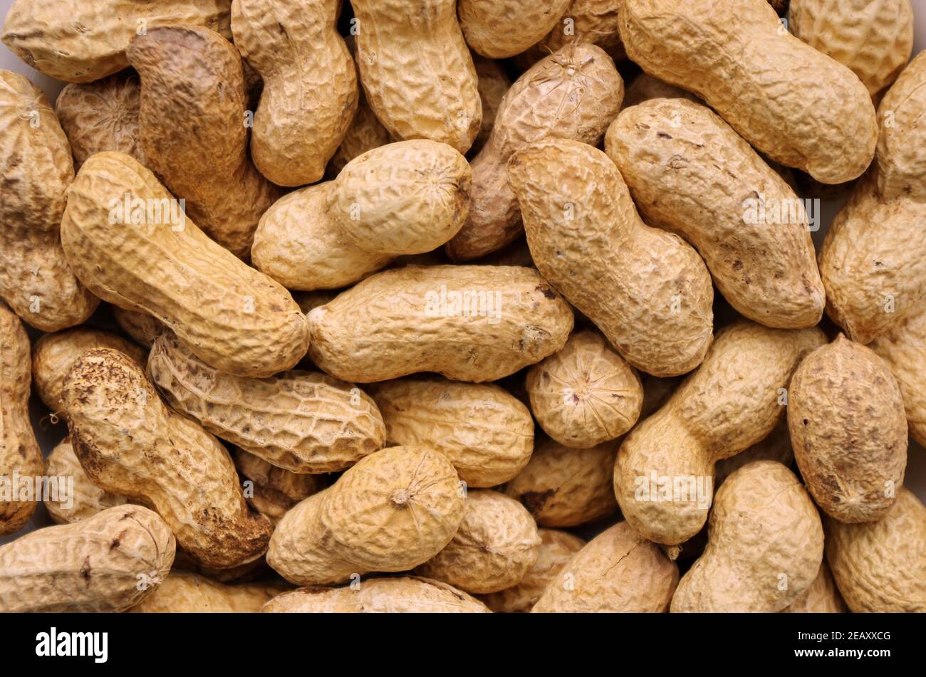 Peanut background texture. Composition of peanuts serving to make oil ...