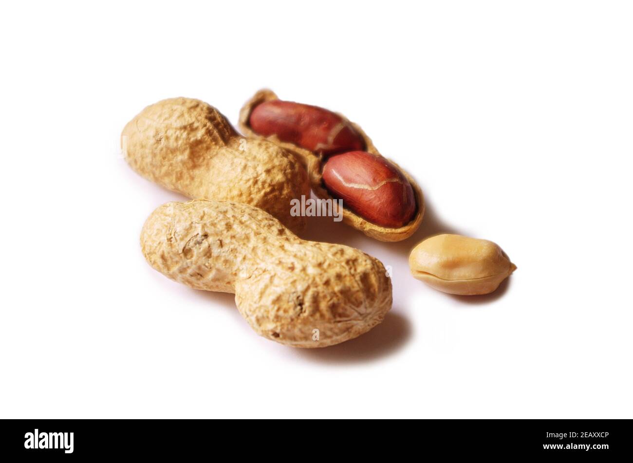 Dried peanuts in closeup.Composition of peanuts serving to make oil ...