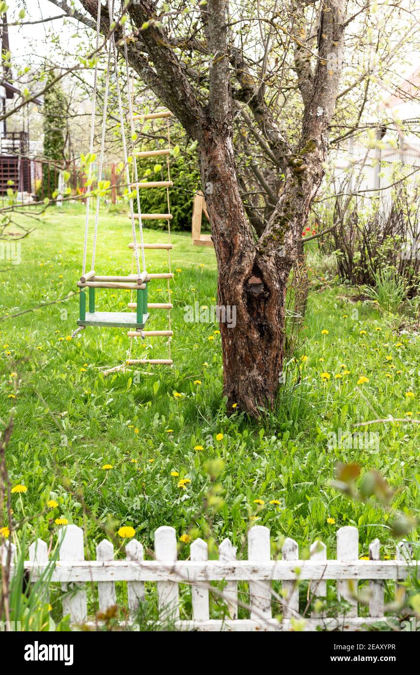 Children's swing hang on a tree on a site near the house Stock Photo ...