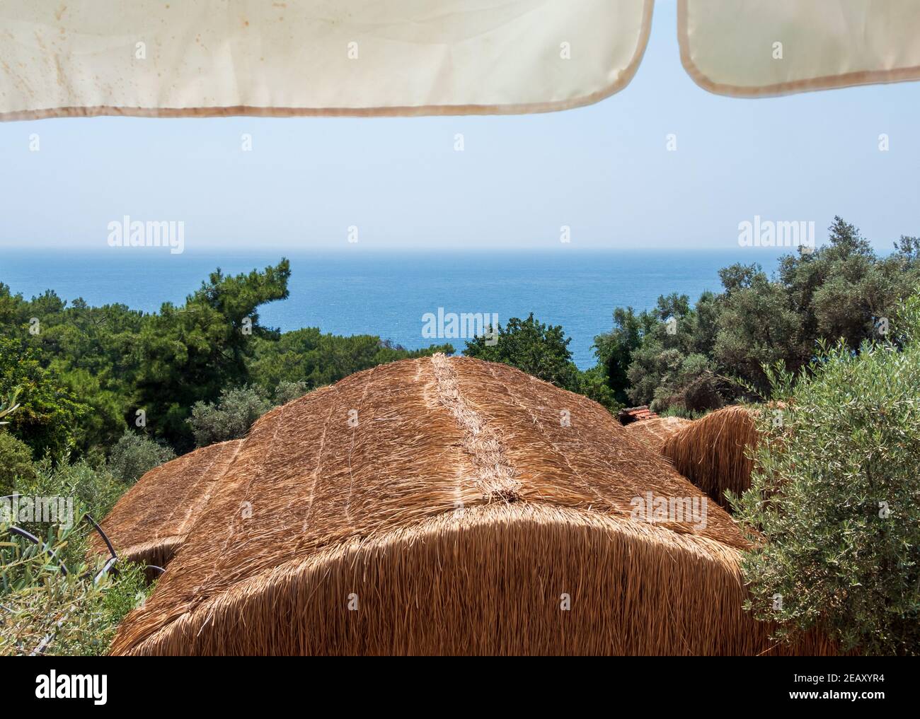 Tropical straw roof hut hi-res stock photography and images - Alamy