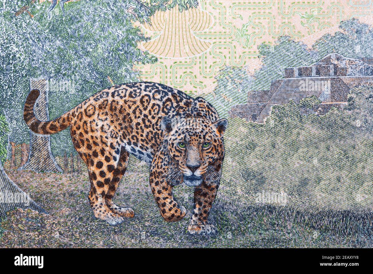Jaguar From Mexican Money Peso Stock Photo Alamy
