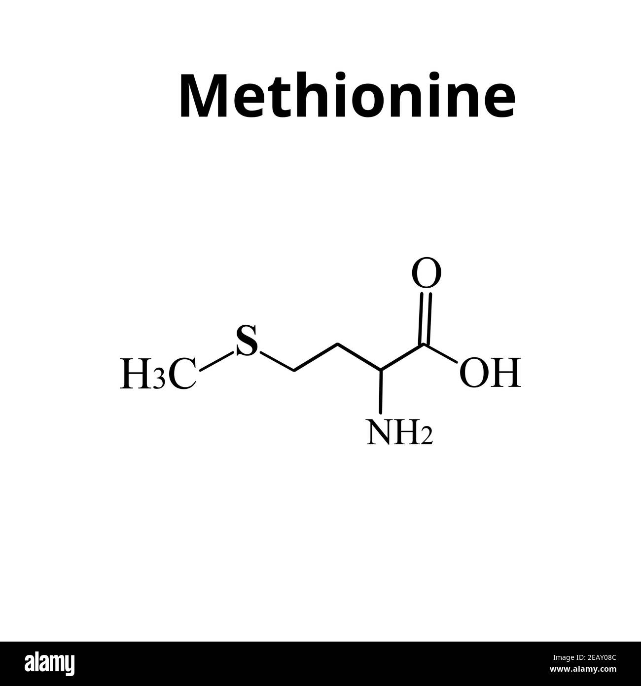 Methionine Amino Acid Structure