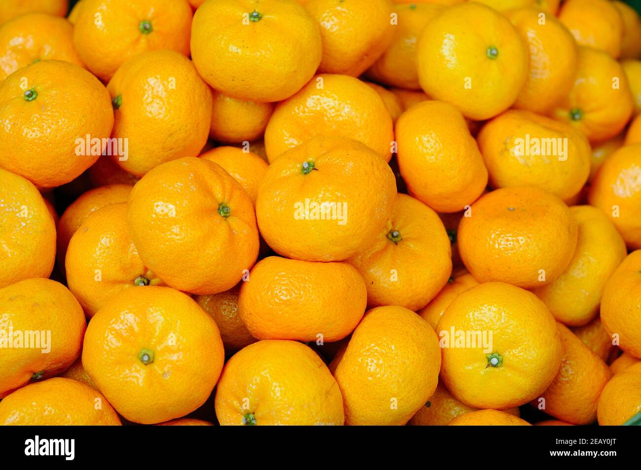 Fresh Mandarin Oranges Stock Photo - Alamy