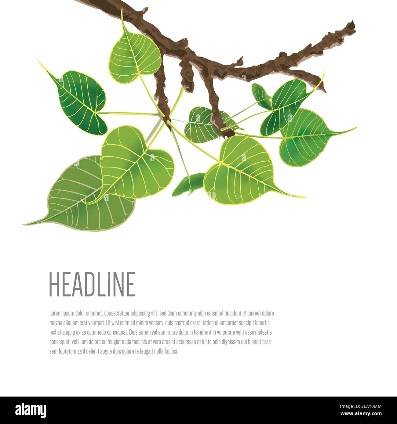 The buddhist religion tree Cut Out Stock Images & Pictures - Alamy