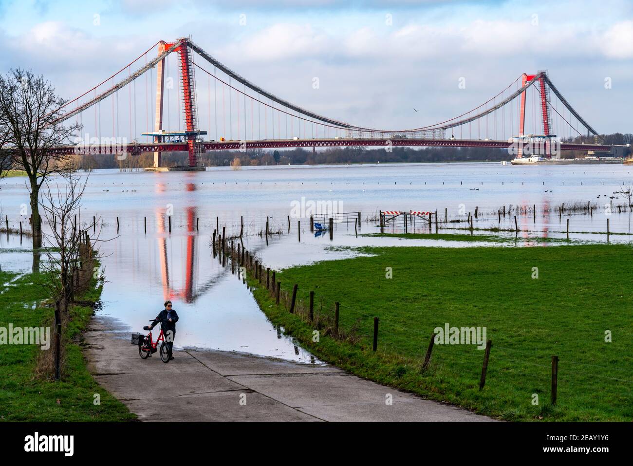 Rhine germany suspension bridge river hi-res stock photography and ...