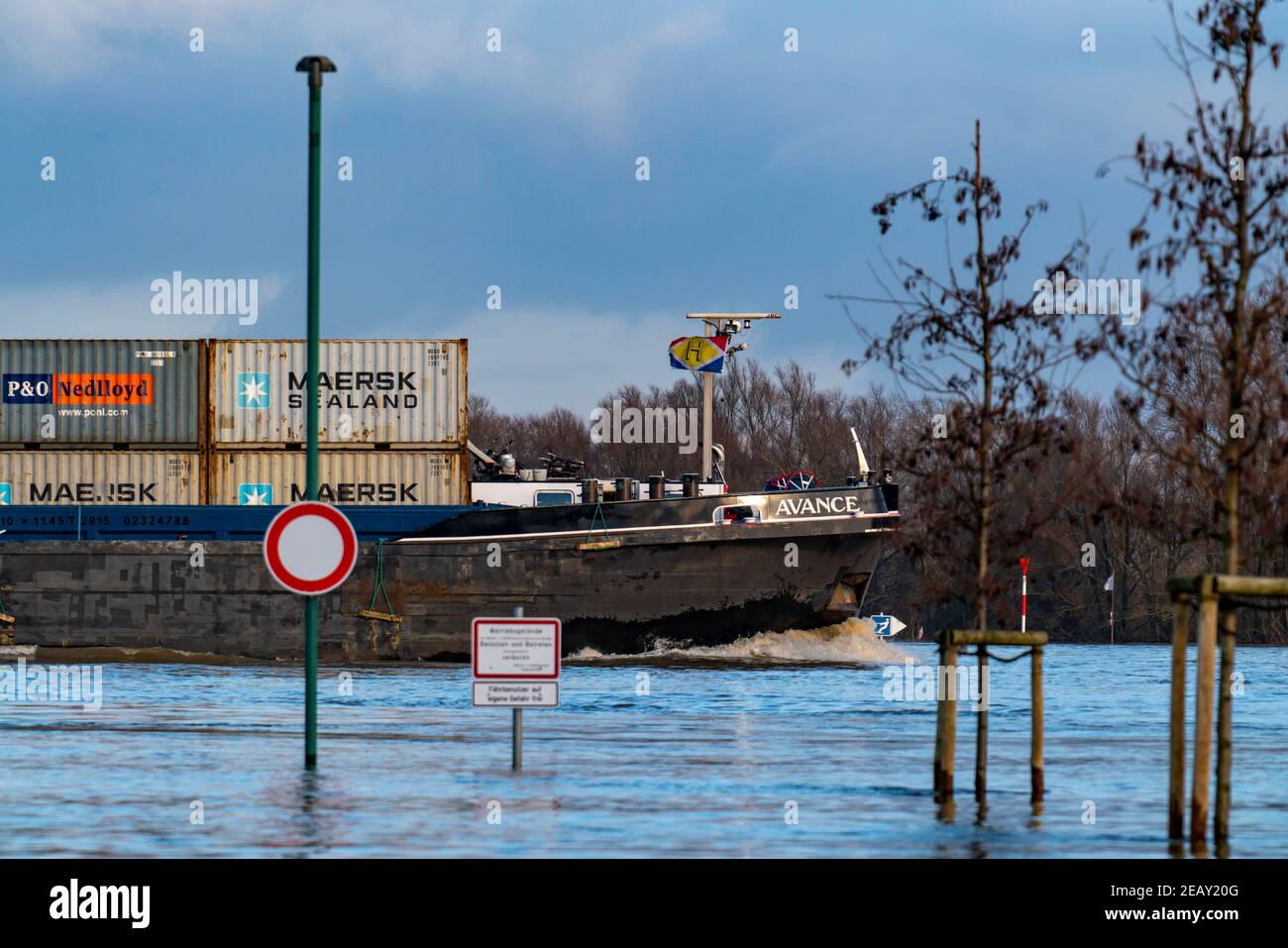 Flood on the Rhine, flooded Rhine bank, Rhine meadows near the village ...