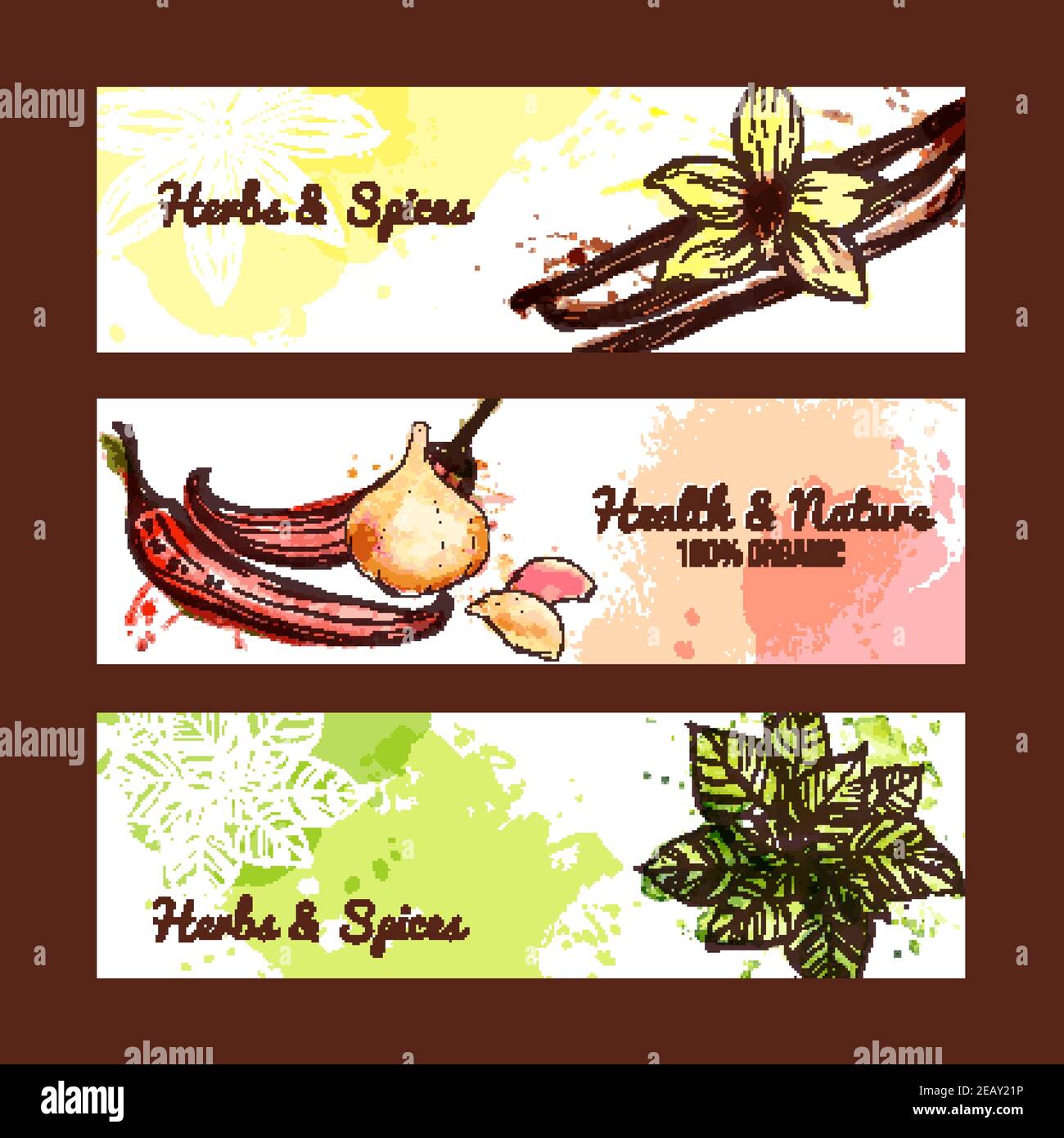 Natural organic herbs and spices horizontal banners set isolated vector ...