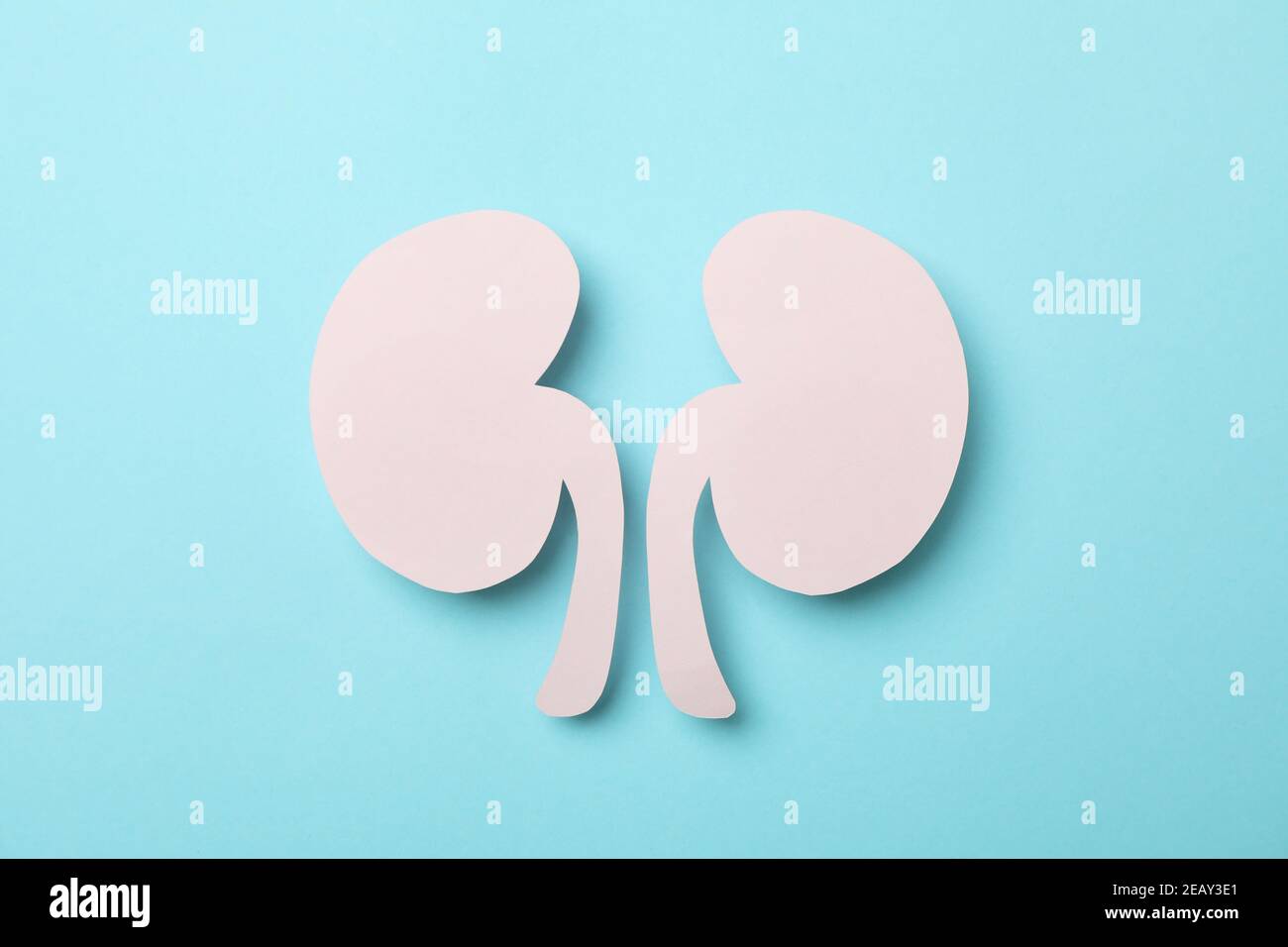 Pink decorative paper kidneys on blue background Stock Photo - Alamy
