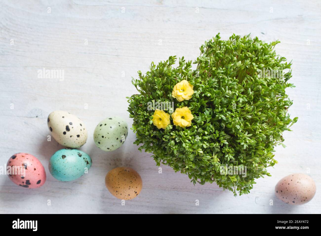 Easter heart-shaped watercress with colorful easter eggs. Easter ...