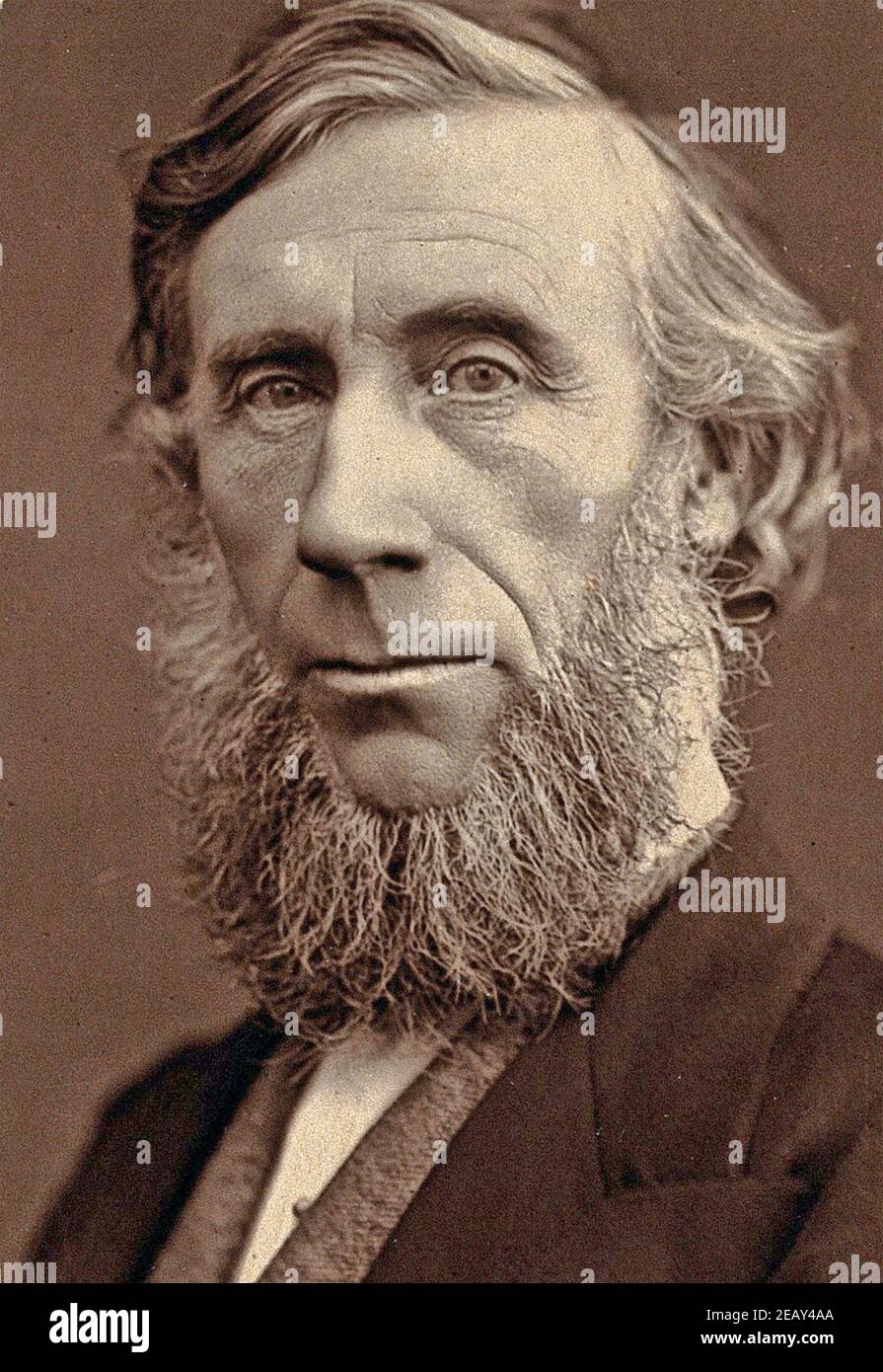 JOHN TYNDALL (1820-1893) Irish physicist Stock Photo - Alamy