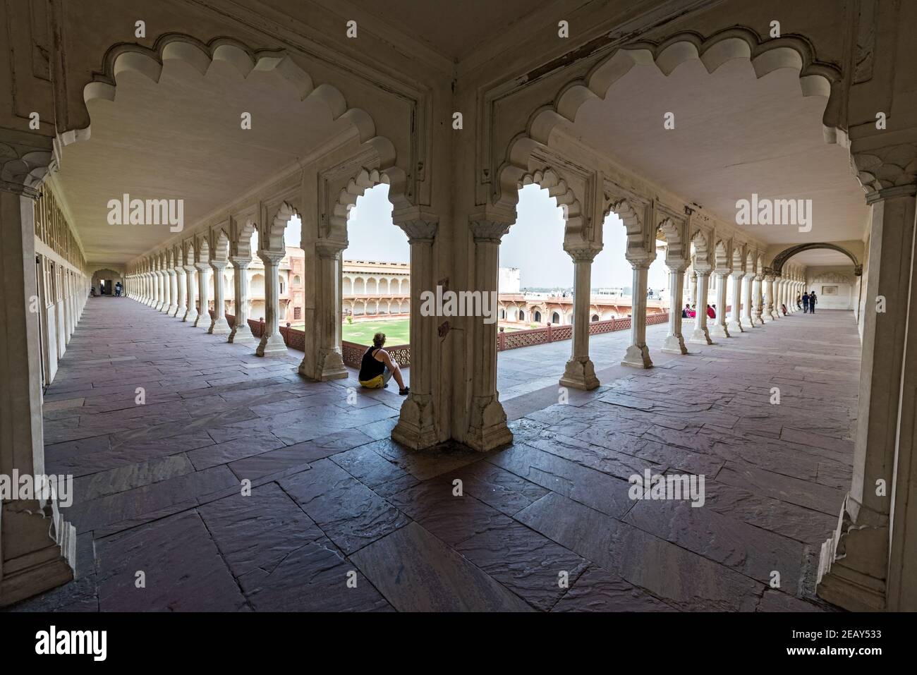 Agra Fort royal palace interior architecture with intricate wall ...