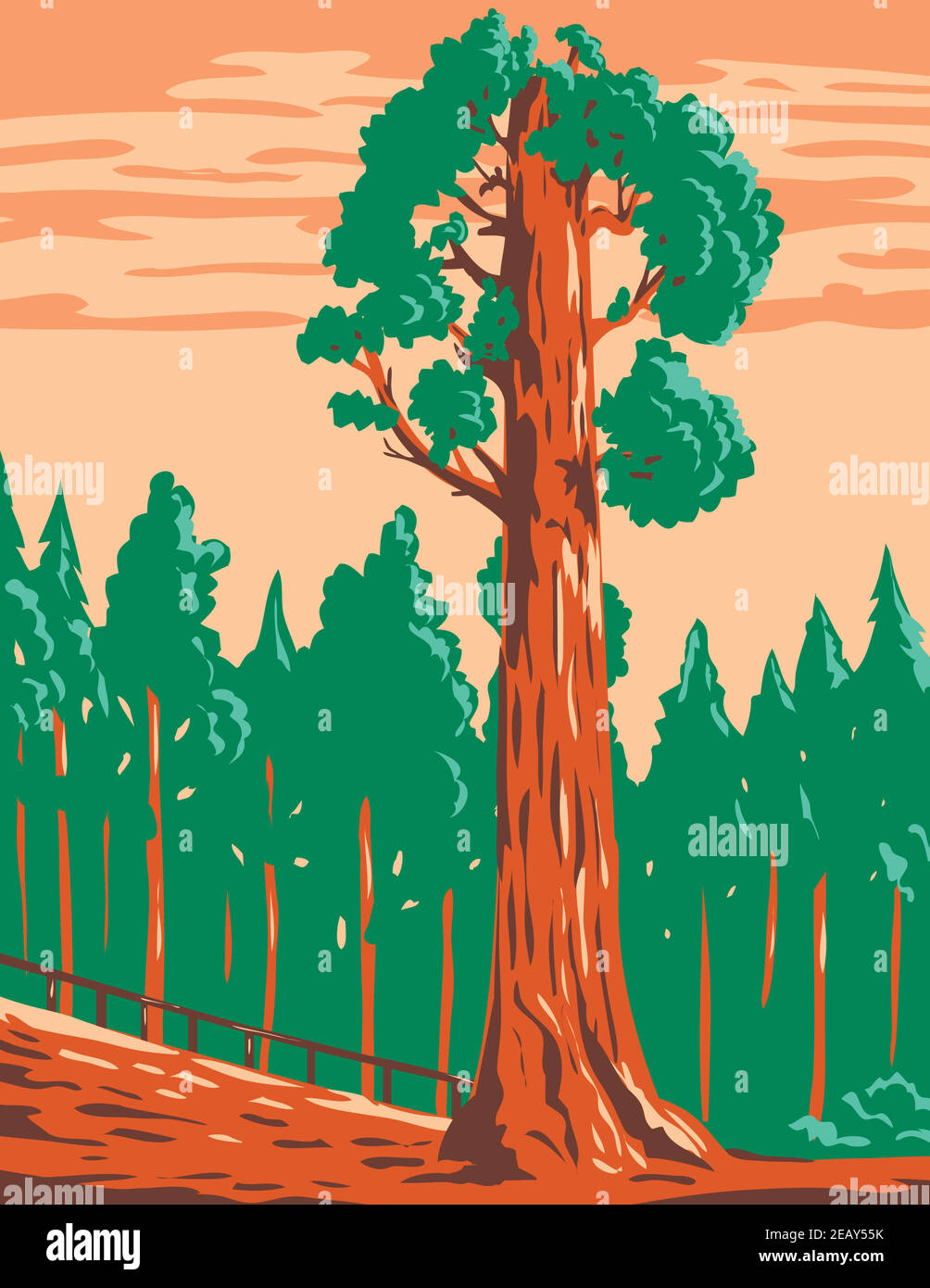 General grant giant sequoia Stock Vector Images - Alamy