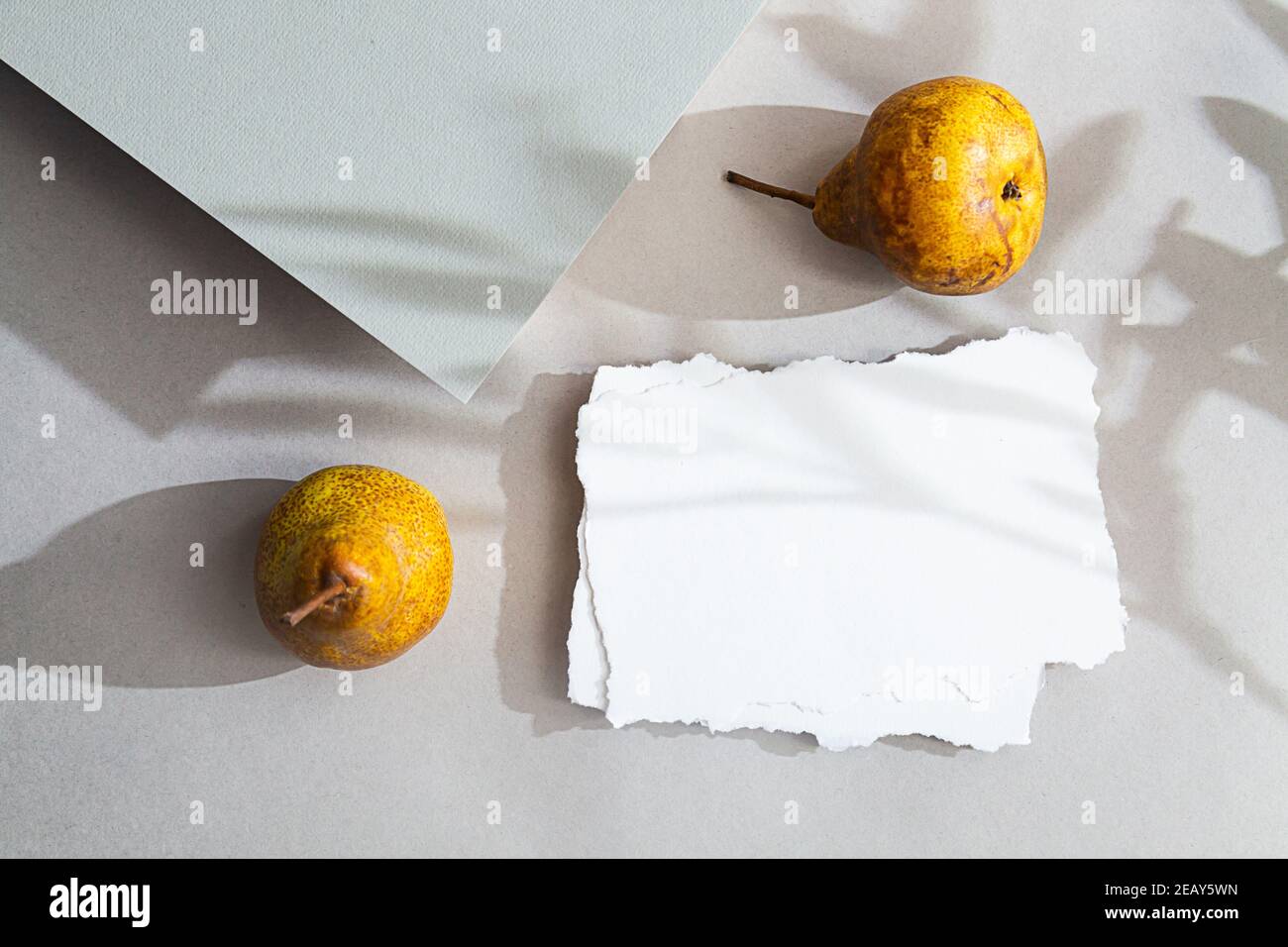 Blank sheet paper, pears on a light background. Summer minimalistic ...