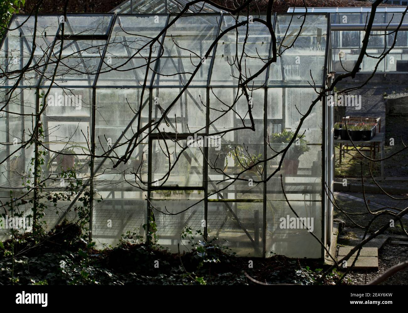 Botanical greenhouses with bilingual signs warning of Covid-19 pandemic ...