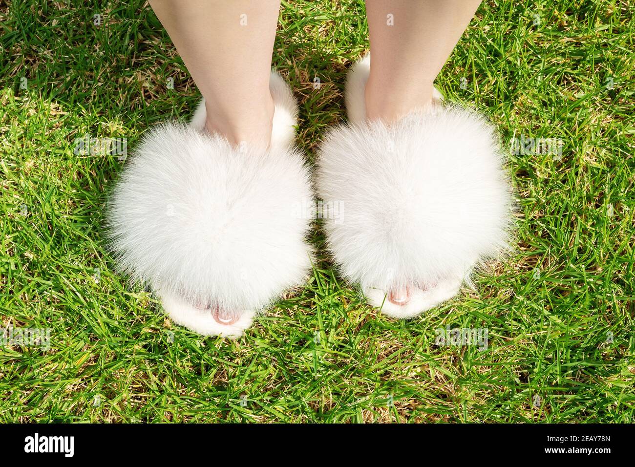 Beautiful women legs hi-res stock photography and images - Alamy