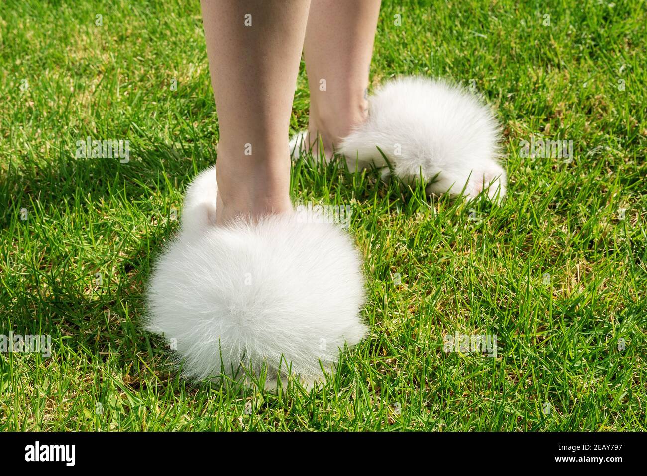 Fluffy legs hi-res stock photography and images - Alamy