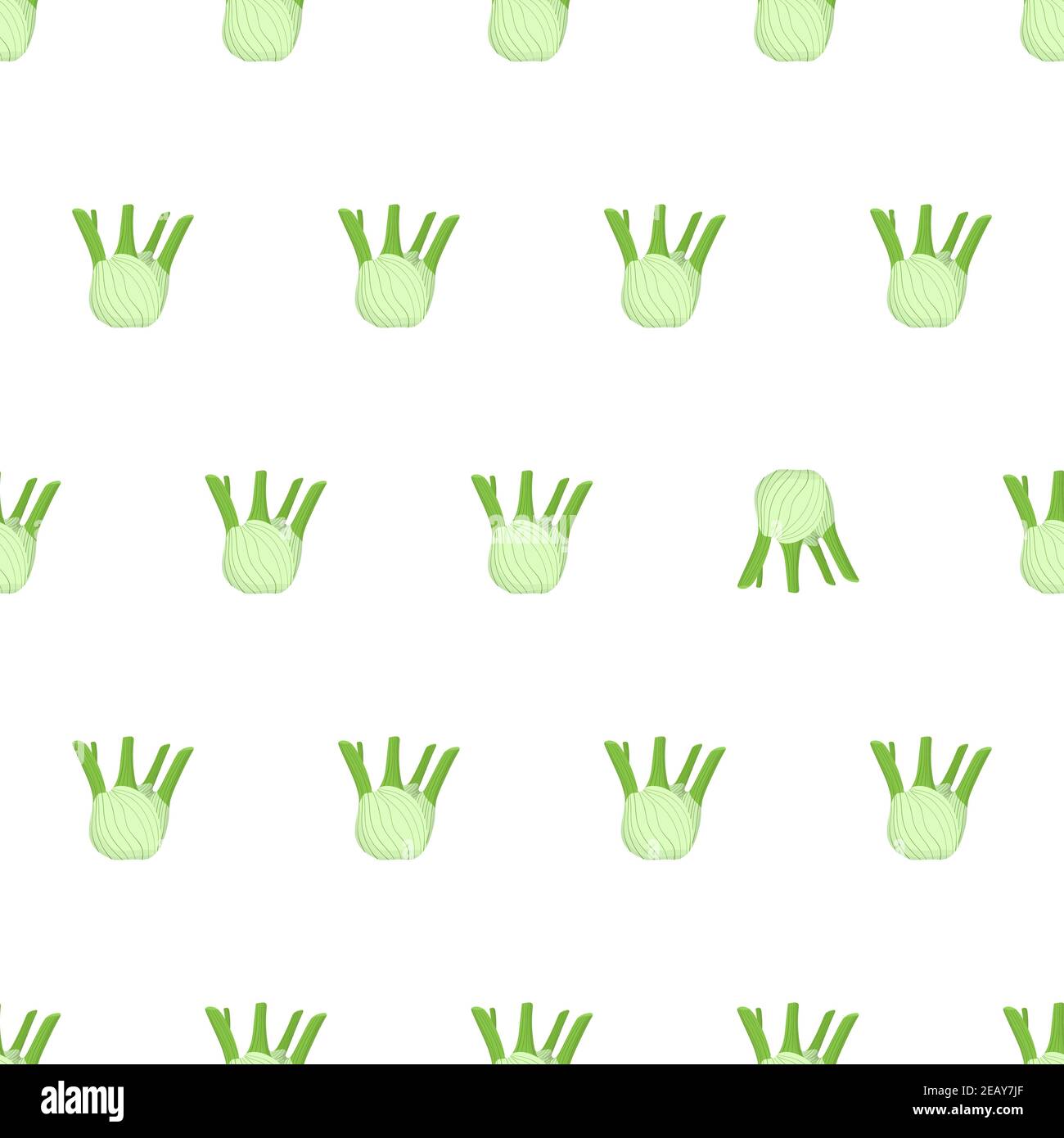 Fennel Stock Vector Images - Alamy
