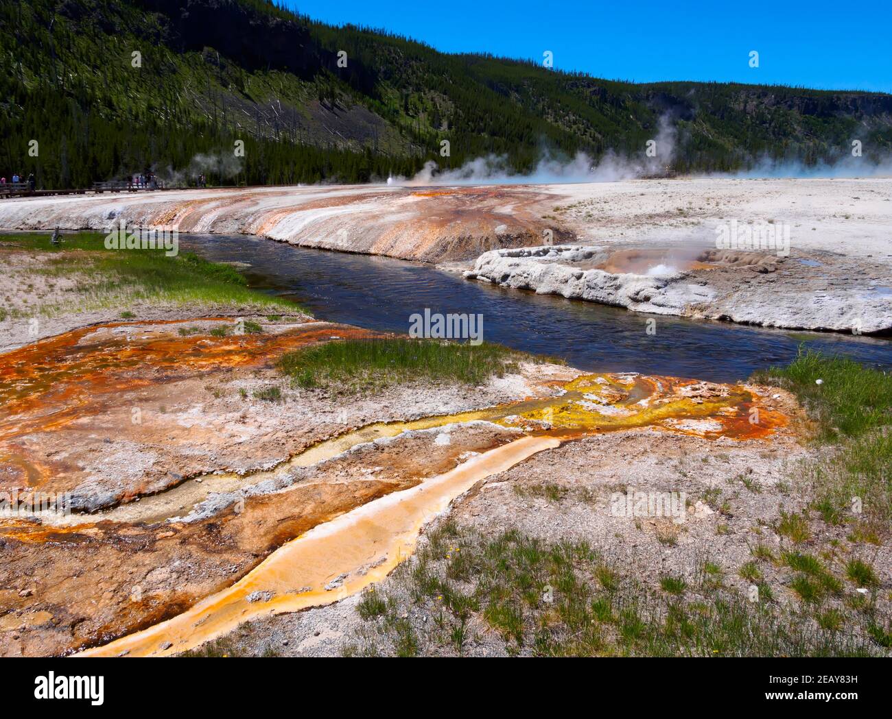 Iron Creek, Black Sand Basin, Yellowstone National Park Stock Photo - Alamy