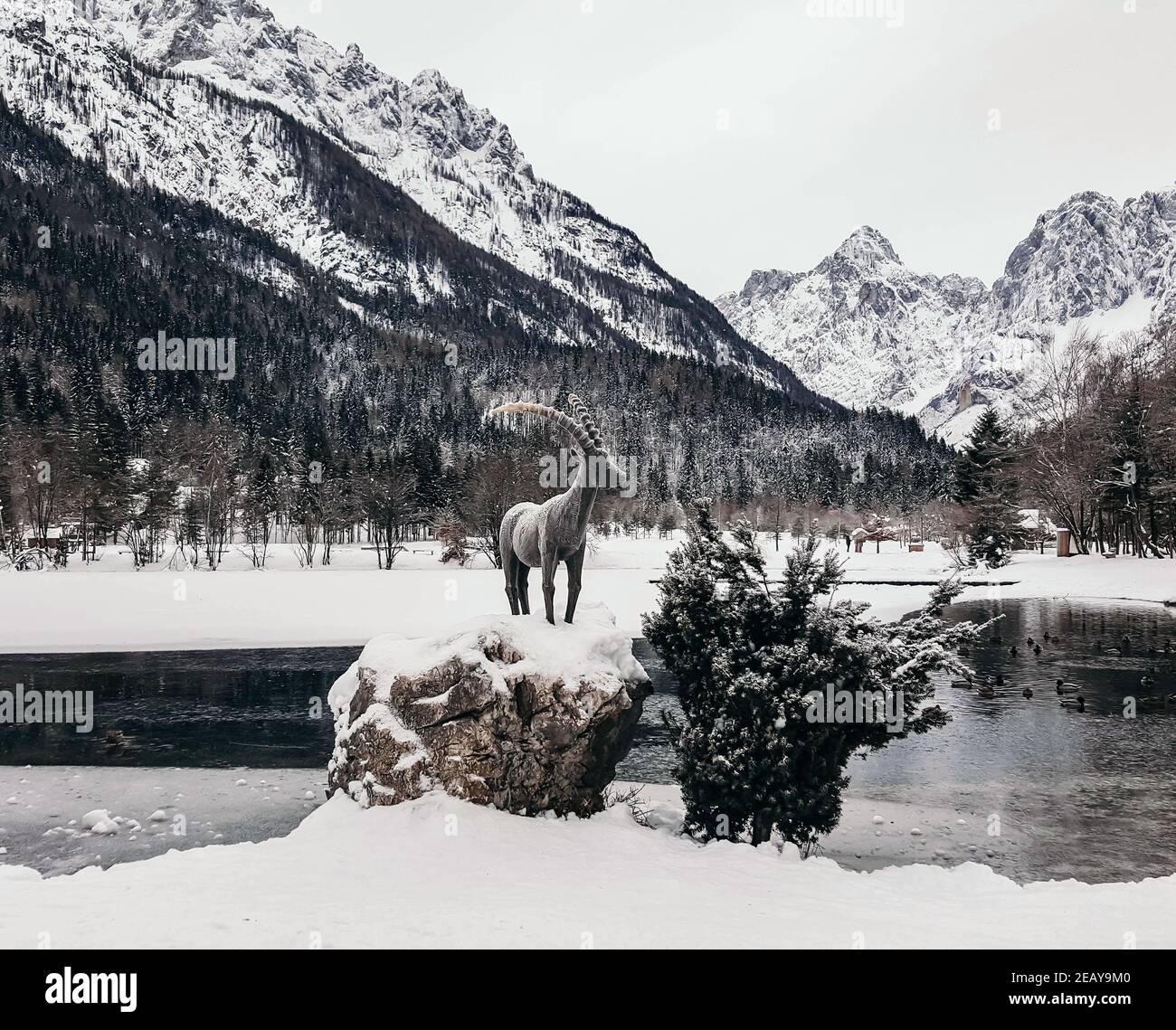 Ibex statue at Lake Jasna, Kranjska gora, Slovenia Stock Photo - Alamy