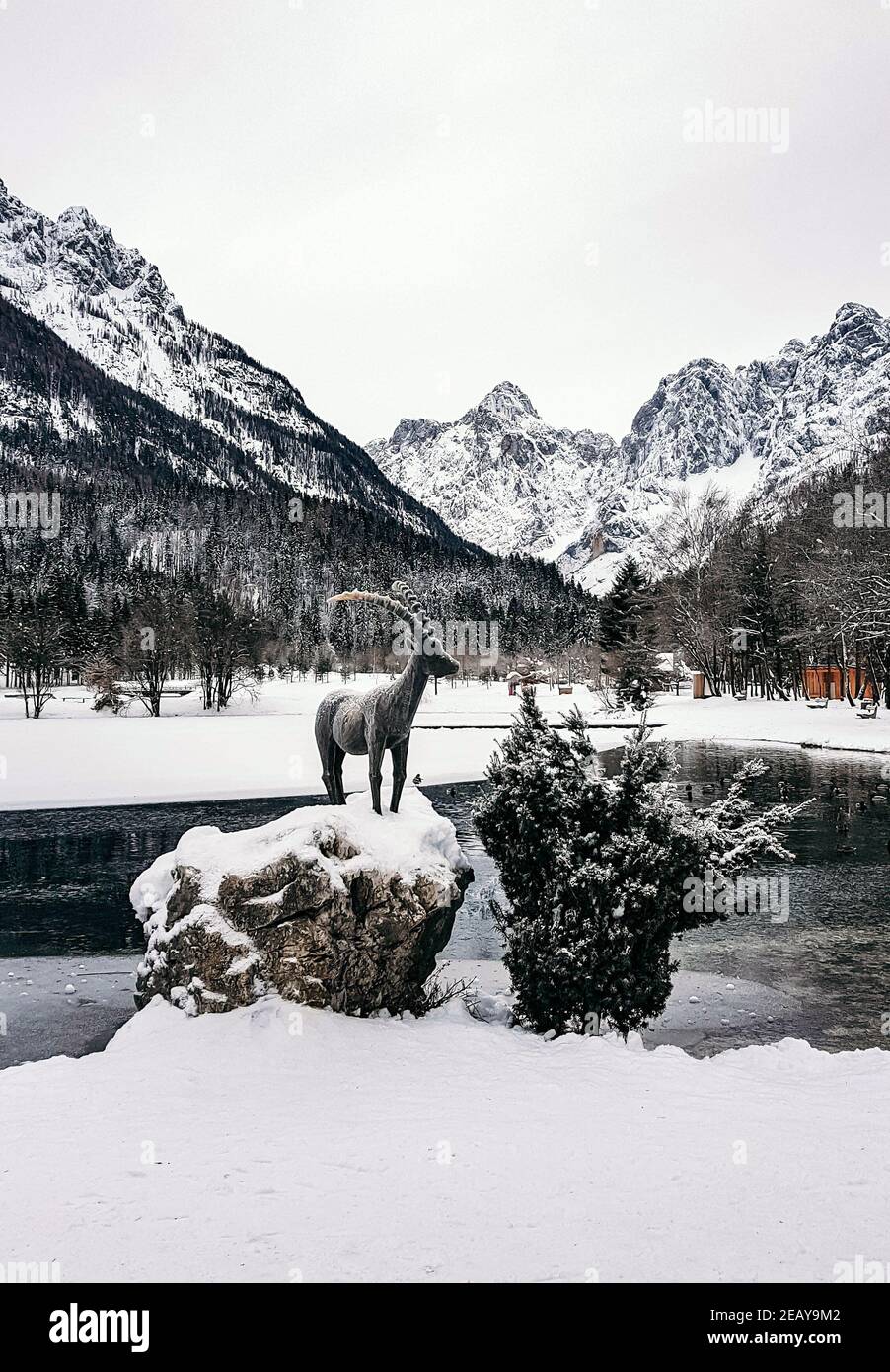 Ibex statue at Lake Jasna, Kranjska gora, Slovenia Stock Photo - Alamy