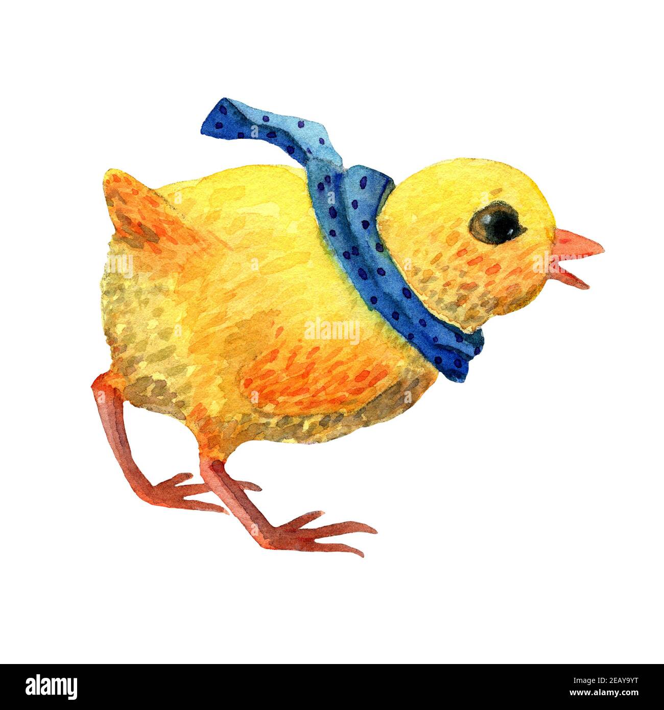 Watercolor hand drawn yellow chicken with scarf in cartoon style ...