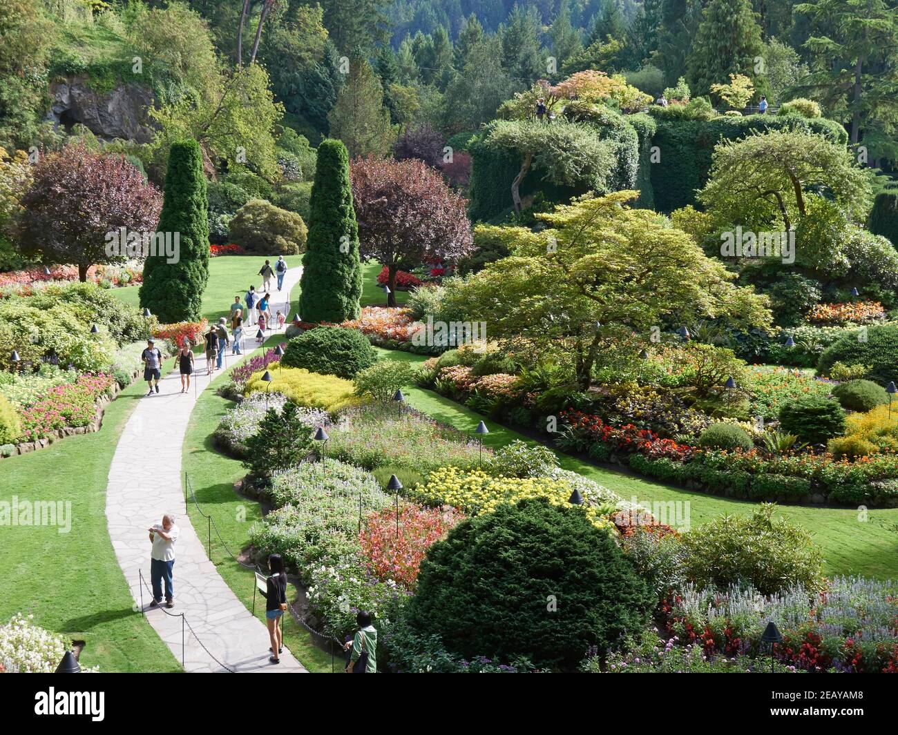Butchart Gardens Sunken Garden in summer Stock Photo - Alamy