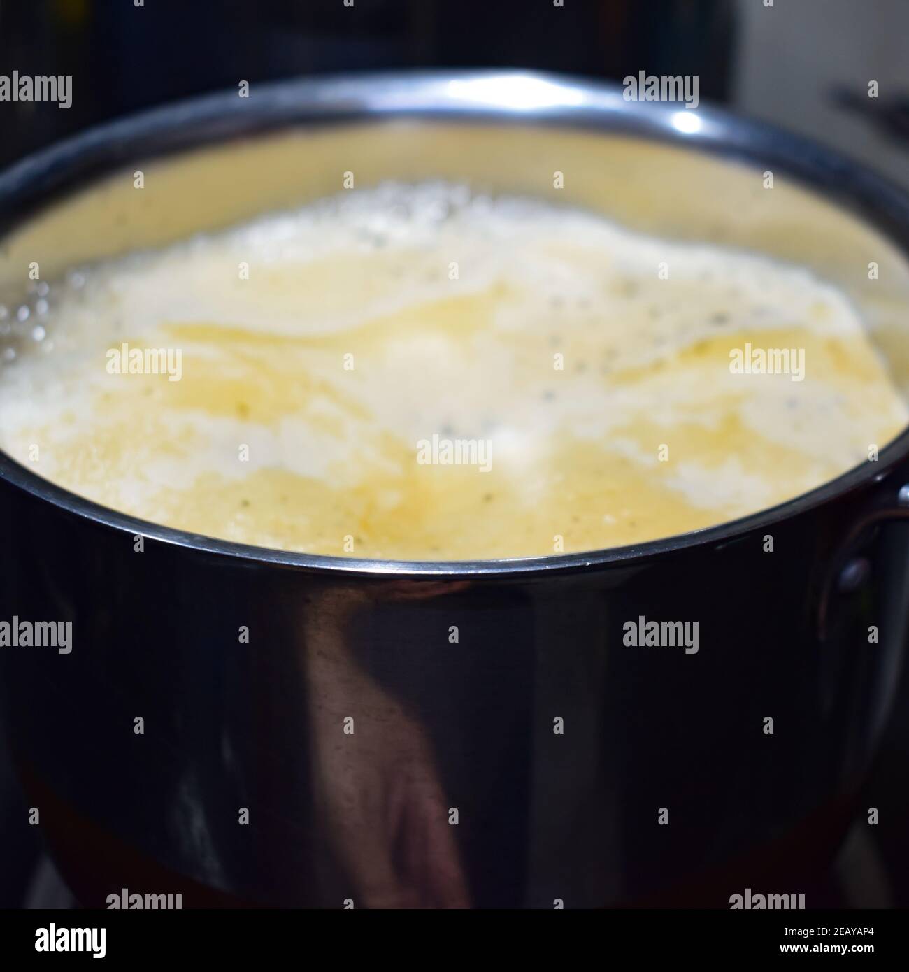 Hot food ready to be cooked on the gas stove, Hot yummy food is ready ...