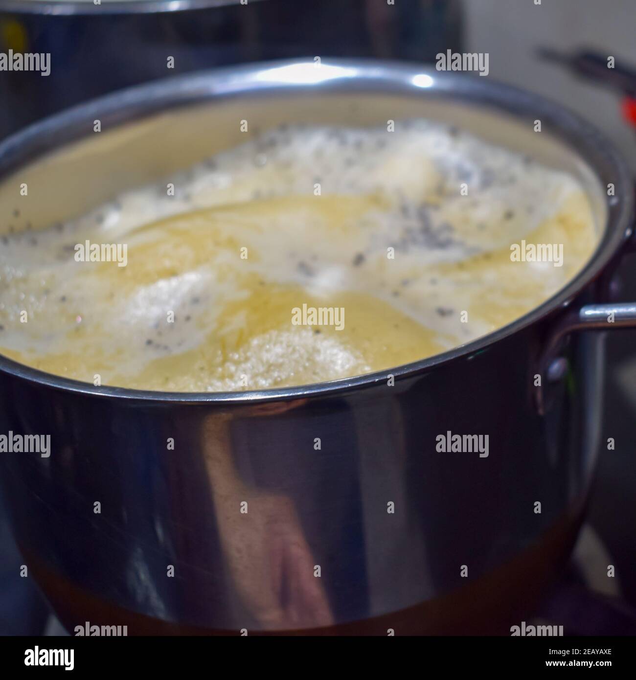 Hot food ready to be cooked on the gas stove, Hot yummy food is ready ...