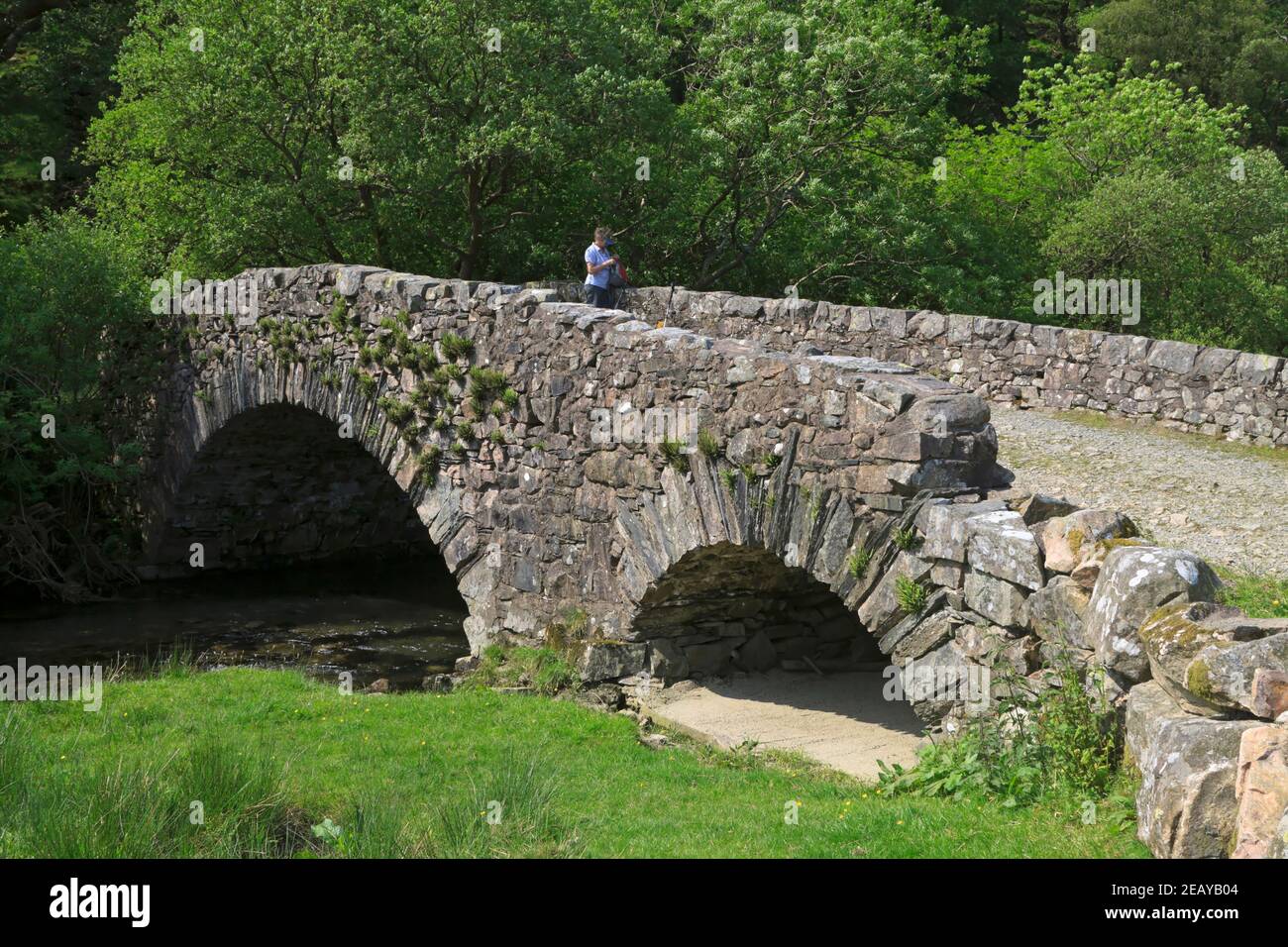 Packhorse bridge crossing Buttermere Dubs, Cumbria. Today the bridge is ...