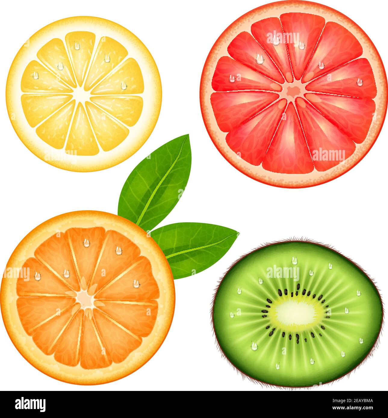 Sliced fruits top view set of lemon grapefruit orange and kiwi isolated ...
