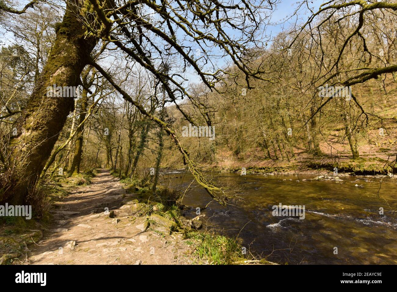Outdoor riverbank hi-res stock photography and images - Alamy