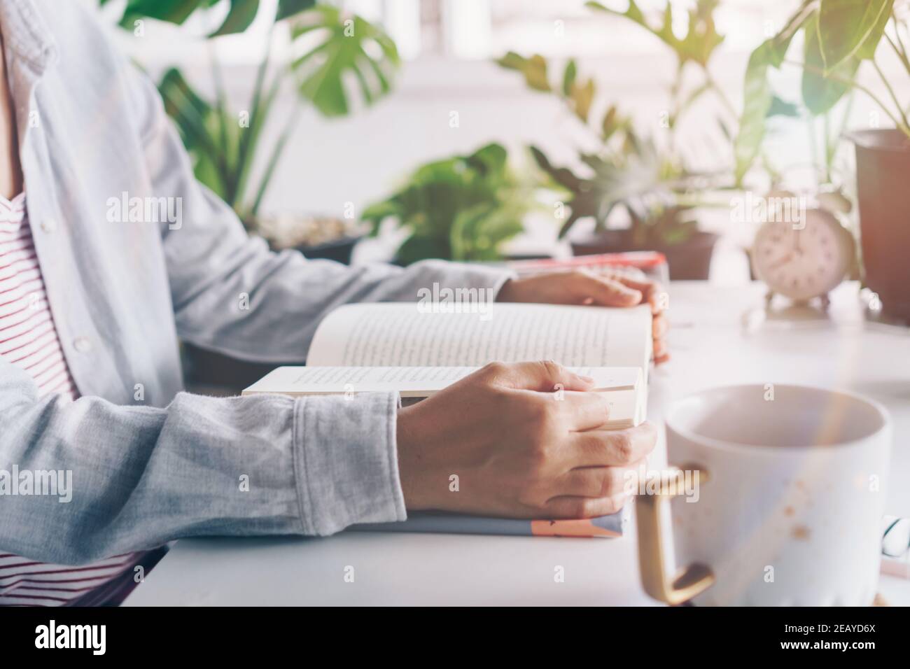 Woman is reading book in workspace area with nature background feeling ...
