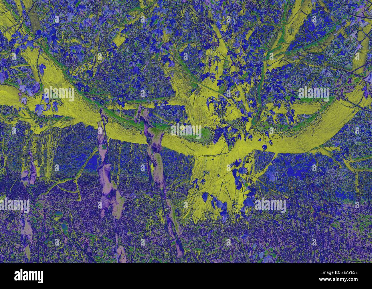 Branchy neon tree with blue foliage in mysterious forest Stock Photo ...