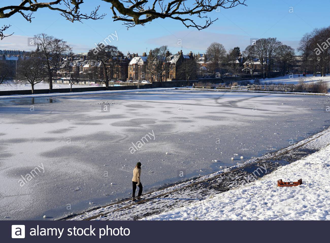 Inverleith pond park edinburgh hi-res stock photography and images - Alamy