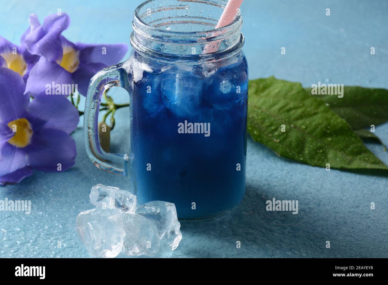 Iced butterfly pea latte. Healthy summer cold beverage, iced organic ...