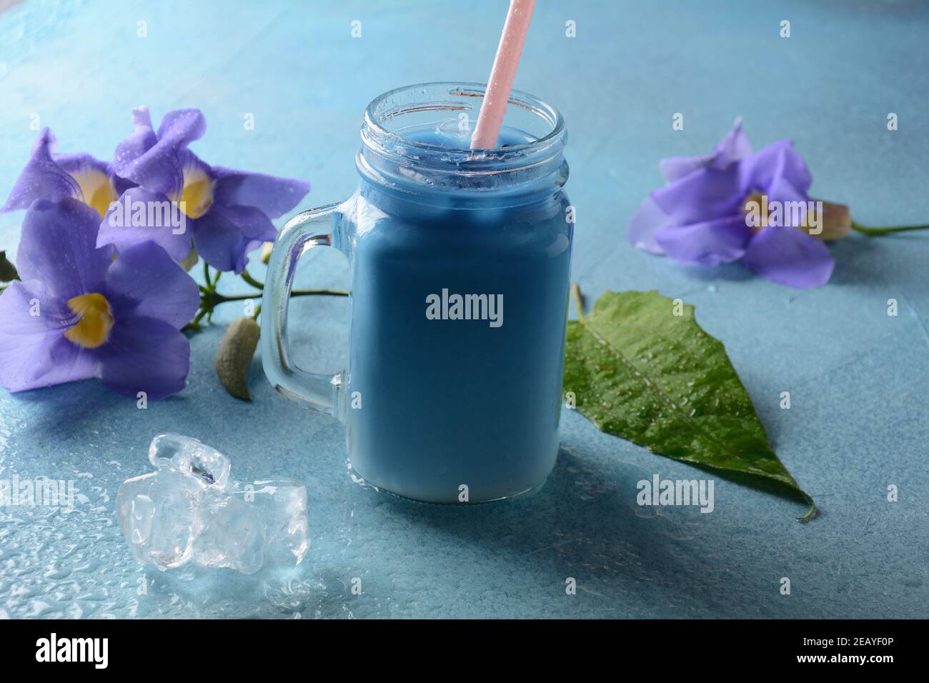 Iced butterfly pea latte. Healthy summer cold beverage, iced organic ...