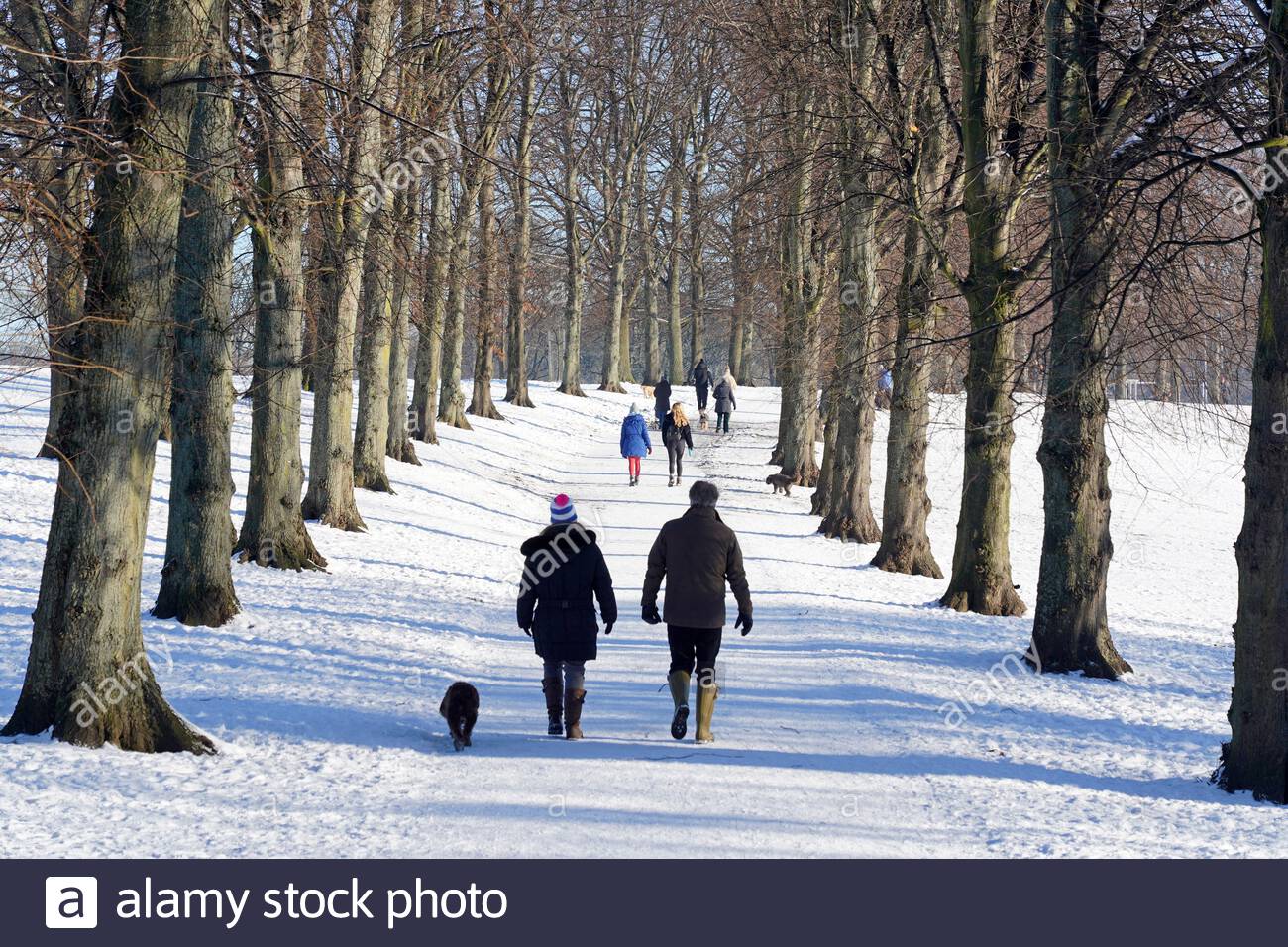 Edinburgh, Scotland, UK. 11th Feb 2021. People enjoying walking on a ...