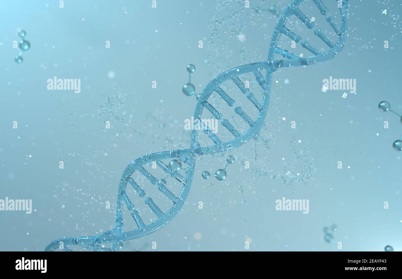 Inheritance division hi-res stock photography and images - Alamy