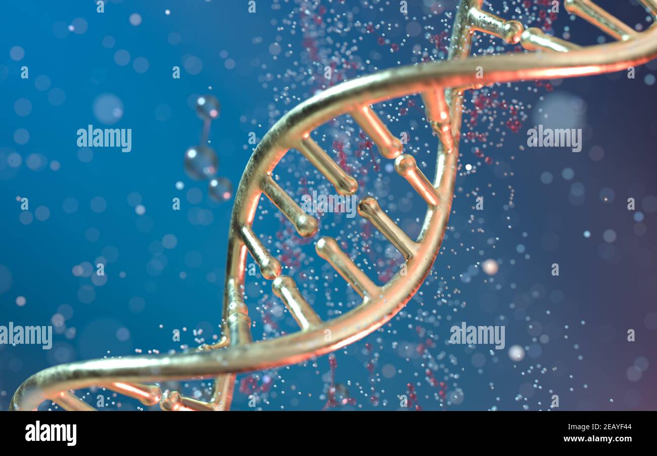 DNA genomes structure with division molecule, 3d rendering. Computer ...