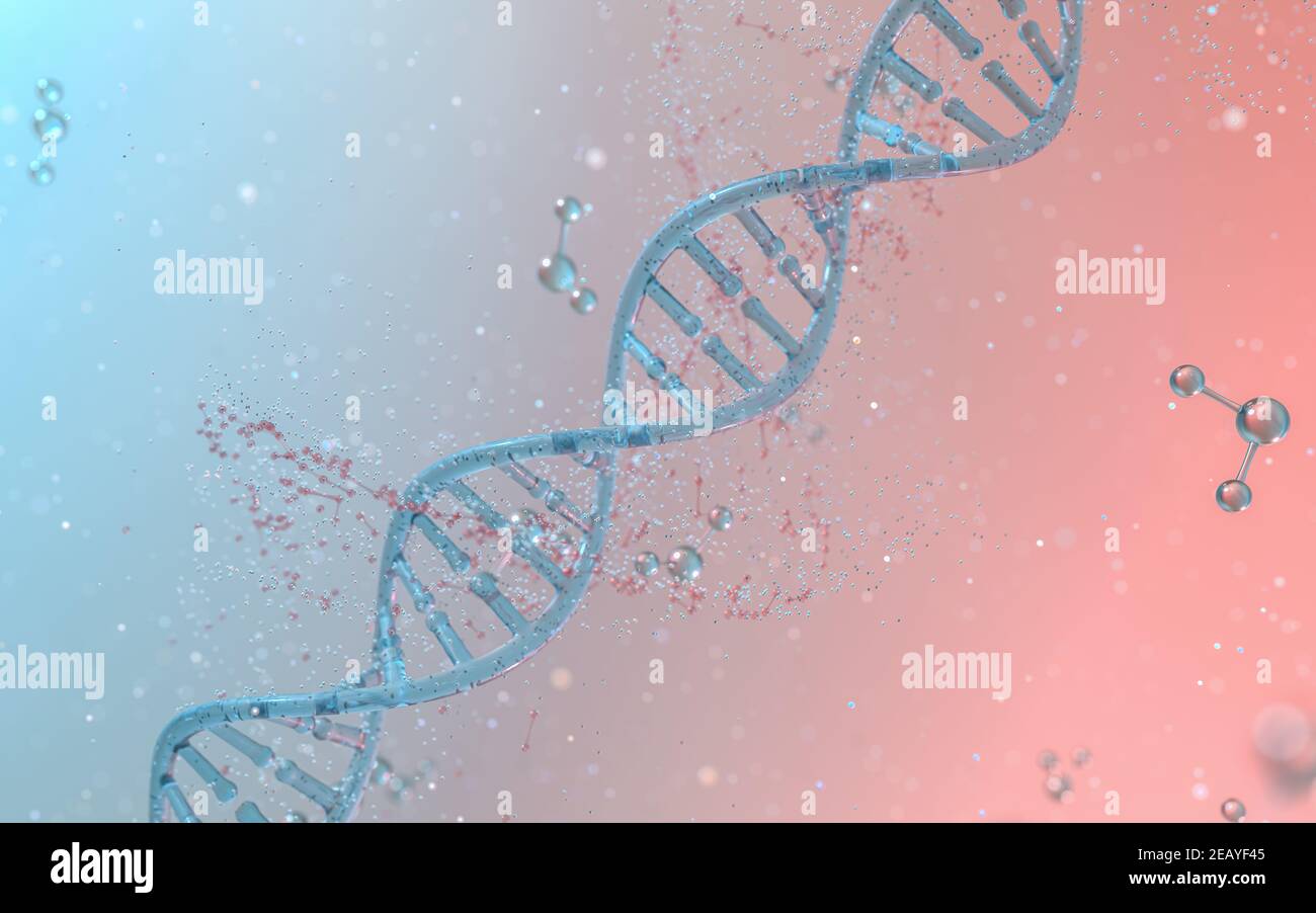 DNA genomes structure with division molecule, 3d rendering. Computer ...