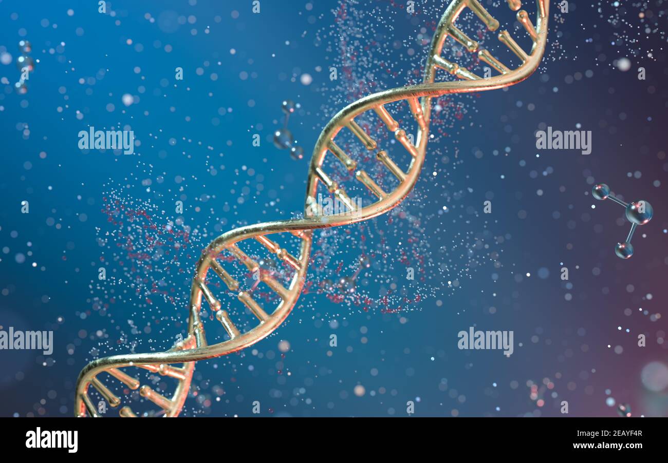 DNA genomes structure with division molecule, 3d rendering. Computer digital drawing Stock Photo ...