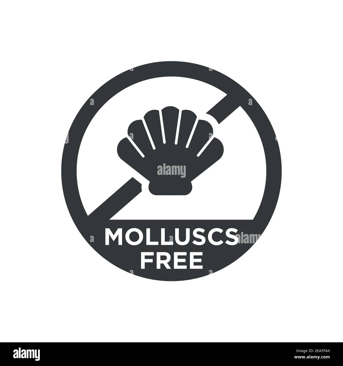 Molluscs hi-res stock photography and images - Alamy