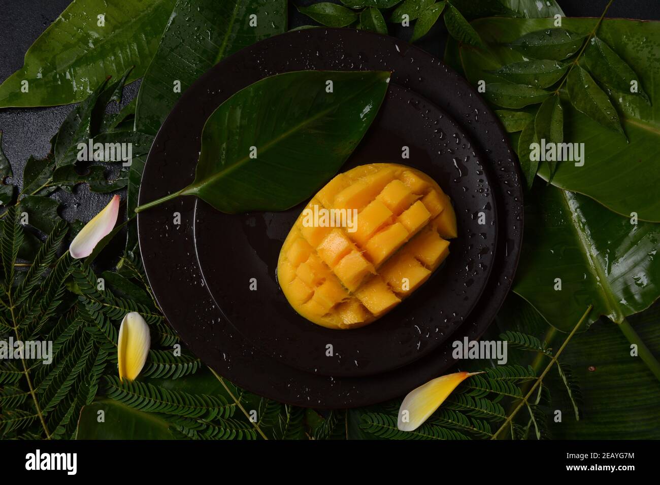 Fresh mango fruit with sliced diced mango chunks on a plate or on ...