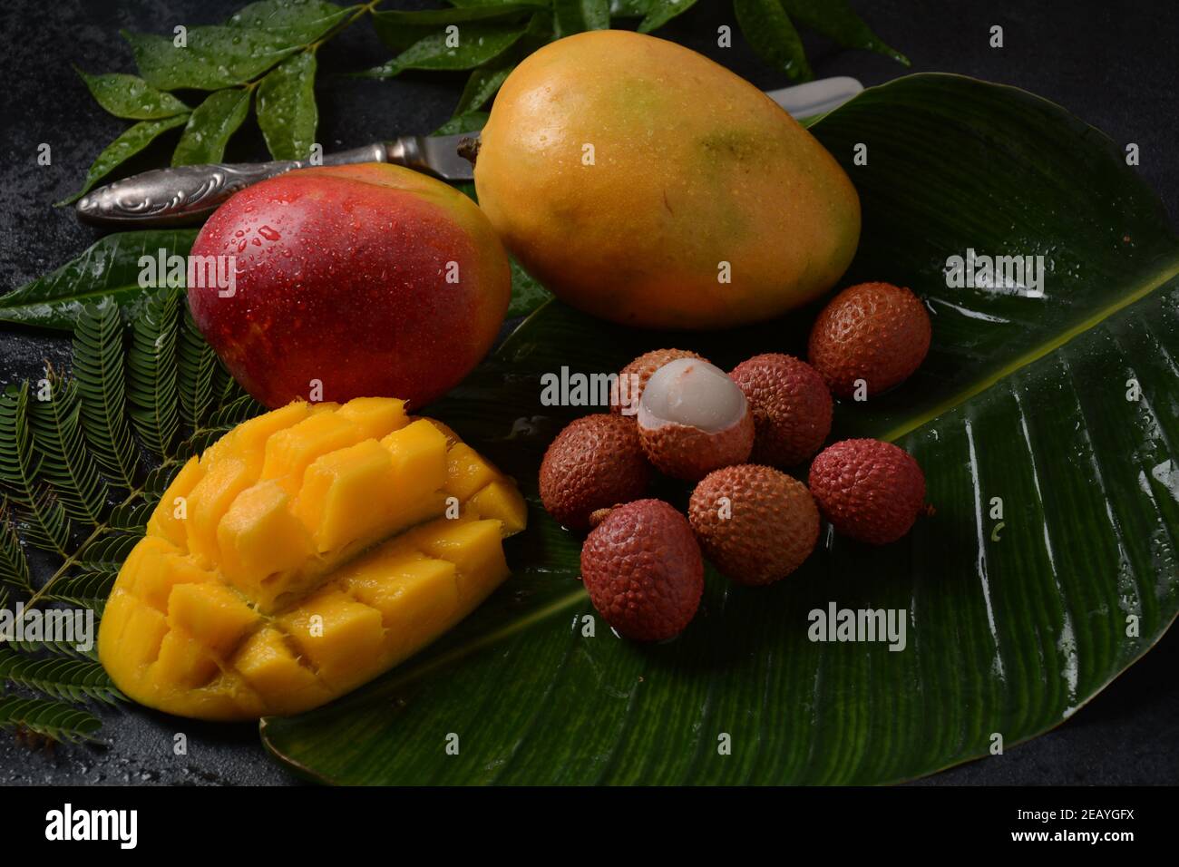 Fresh mango fruit with sliced diced mango chunks on a plate and fresh ...
